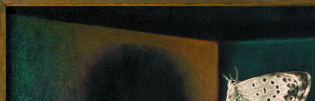 Toyen | Musée d'Art Moderne de Paris